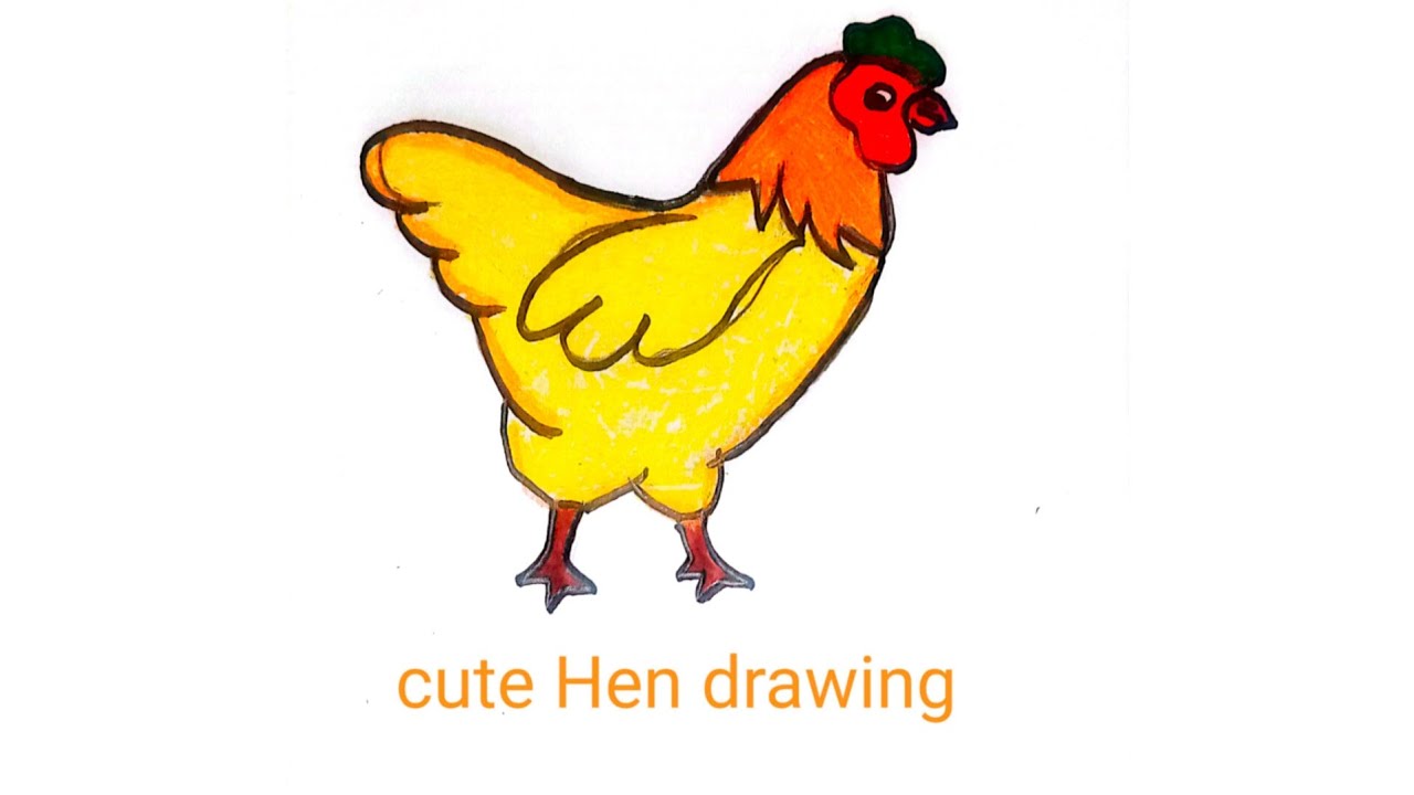How to draw Hen drawing easy| step by step Hen drawing|Hen ke drawing ...