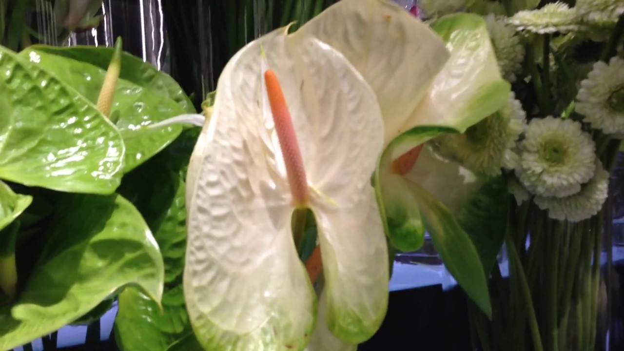 Floral Beauty Belgravia, London Neil Strain Floral Couture - YouTube