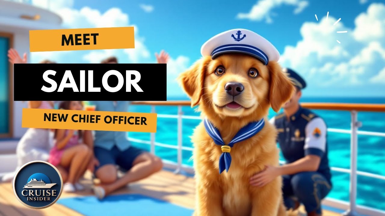 Meet the Chief Dog Officer on a Cruise Ship! - YouTube