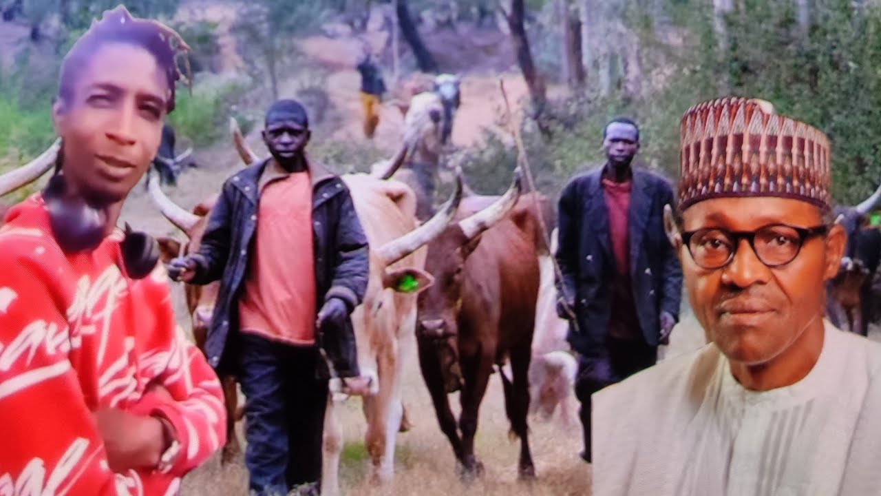 SHÓÇKÎNG! HEAR WHAT THIS GUINEA FULANI GUY SAID ABOUT NIGERIAN FULANI ...