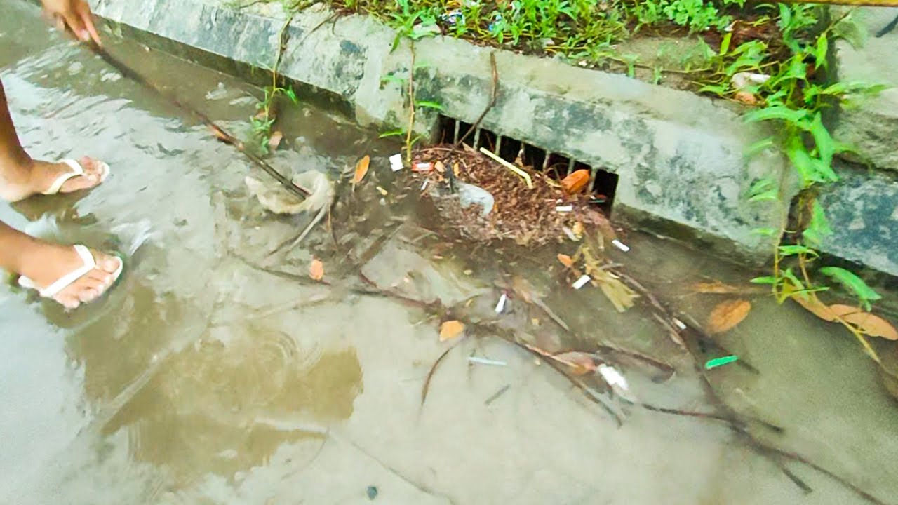 Rainy Season! Removal Trash Clogged Culvert Drain Water Out From Street ...