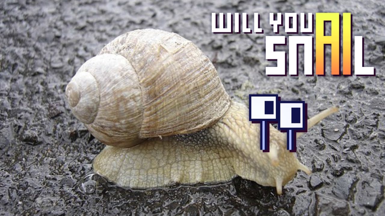 Will You Snail - YouTube
