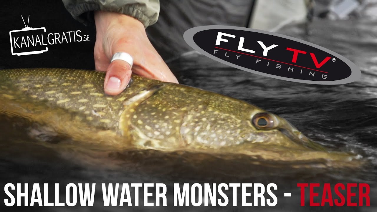 [TEASER] FLY TV - Shallow Water Monsters - Fly Fishing for Big Pike ...
