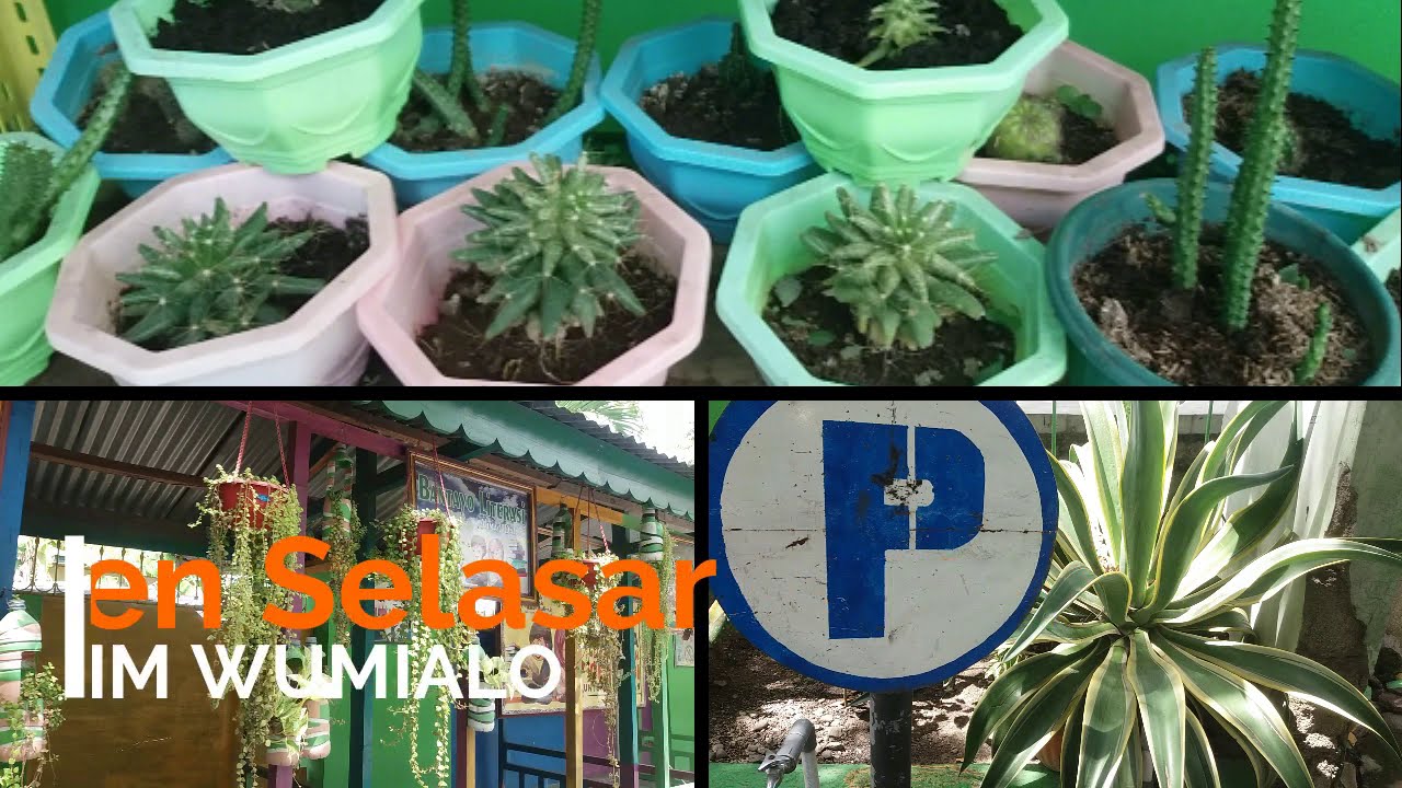 Desain Taman Bunga Elegan Untuk Teras Memanjang #gorontaloindah - YouTube