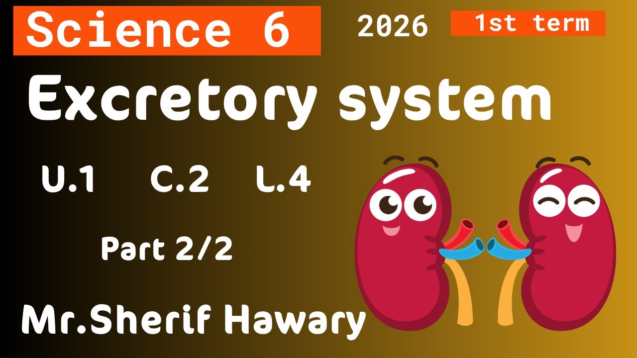 Science | Excretory system | Grade 6 | Unit 1 -Concept 2 -Lesson 4 ...
