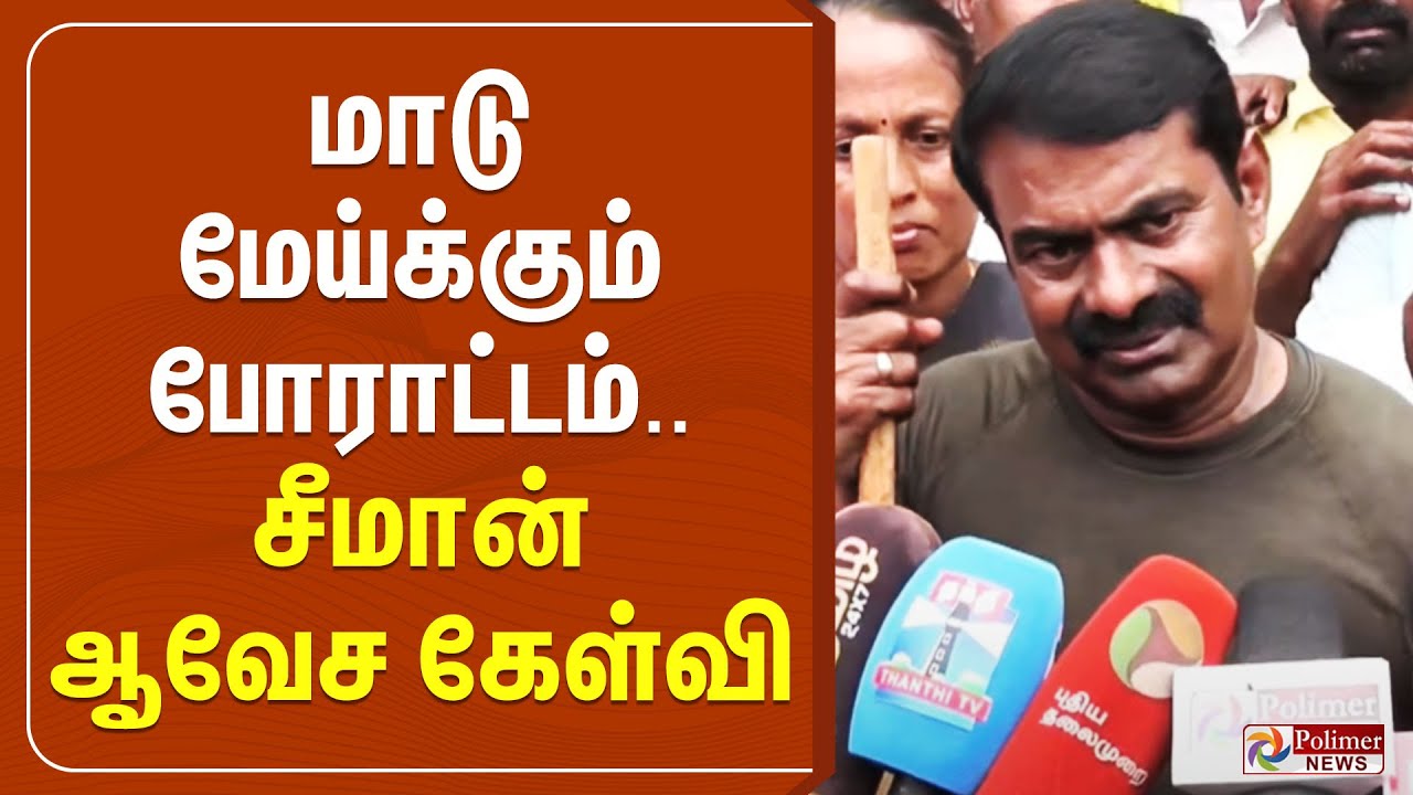 மாடு மேய்க்கும் போராட்டம்.. சீமான் ஆவேச கேள்வி.. | NTK Seeman | Protest ...