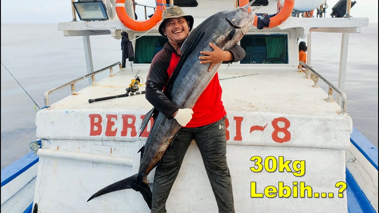Akhirnya Ikan Layaran 30kg Lebih berhasil mendarat di kapal #TRIP SMR ...