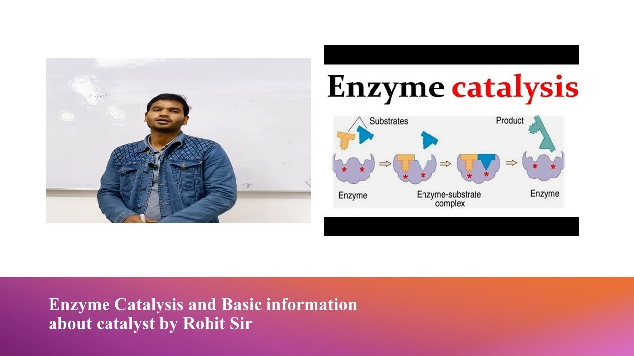 Enzyme Catalysis | Catalyst | Michaelis Menten Theory | by Rohit Sir ...
