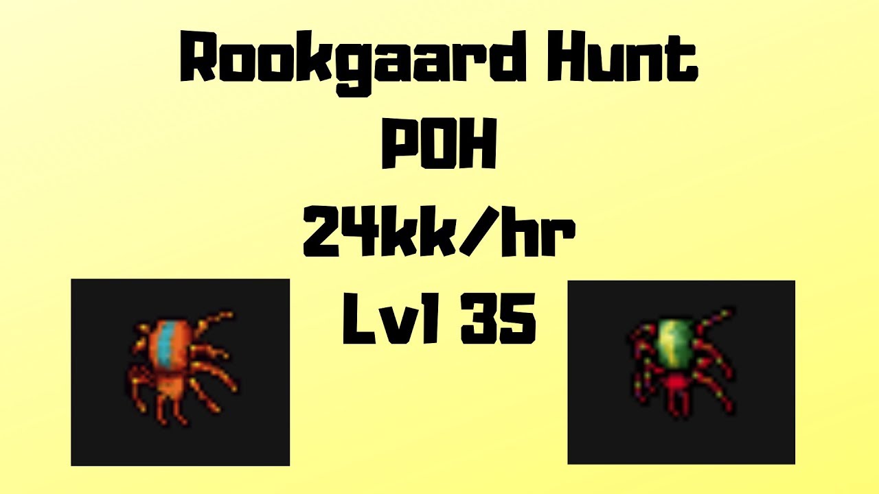 Rookgaard - Lvl 35 - 24k/hr - (Spot: POH) - Solo - Tibia - YouTube