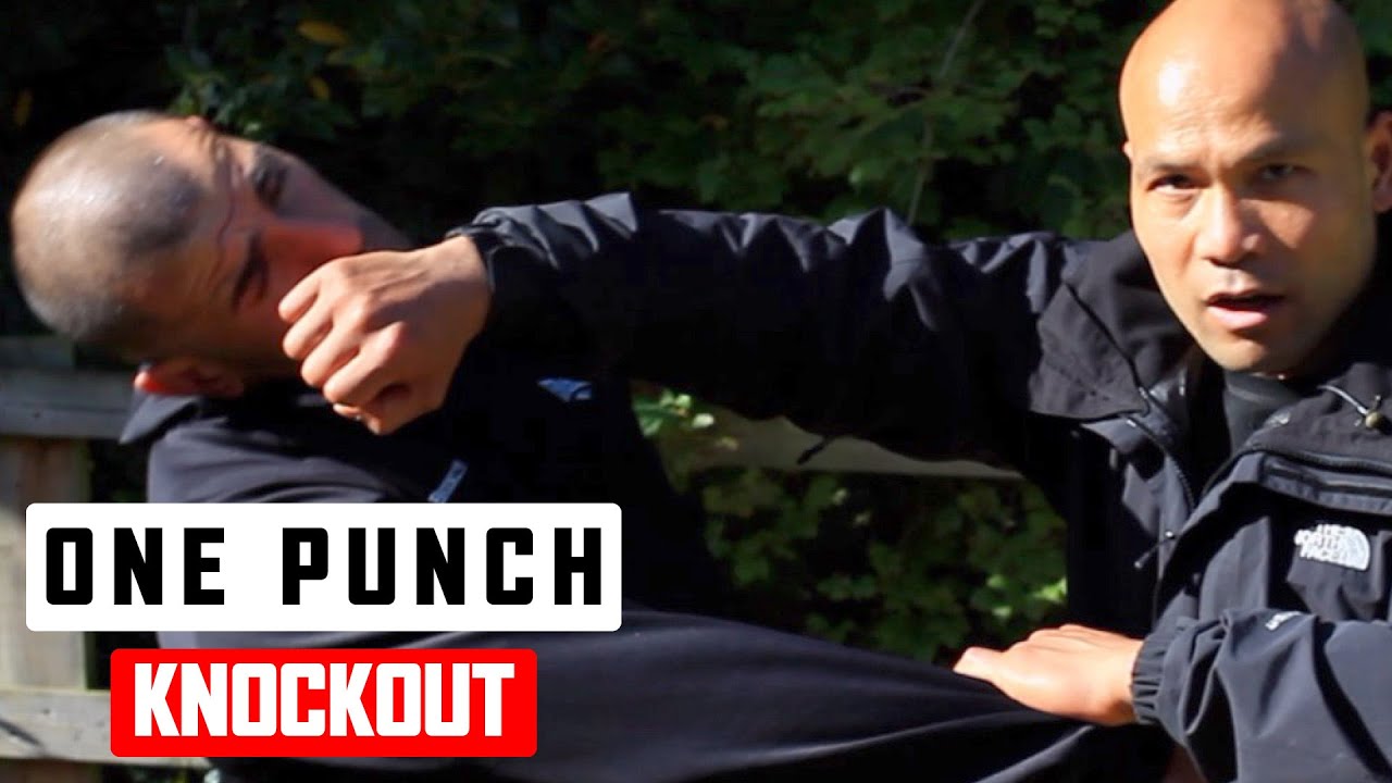 One punch knockout Lesson 1 | Wing Chun Combat - YouTube