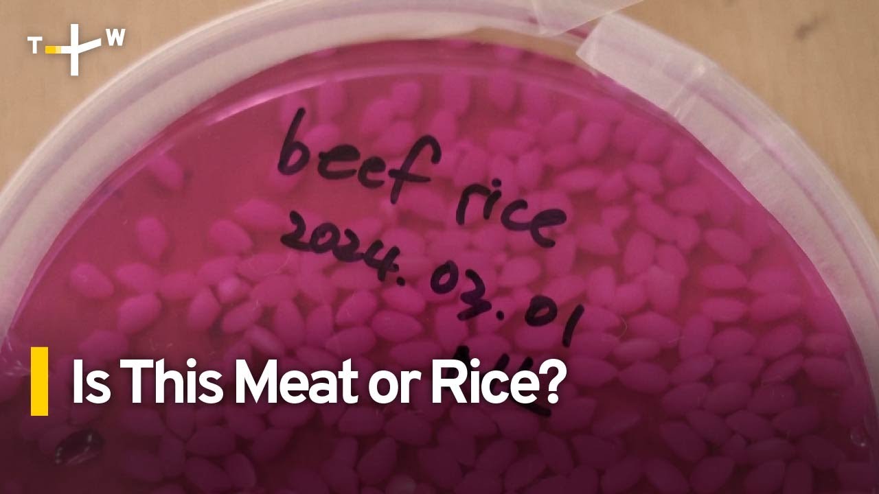 South Korean Scientists Develop Beef-Rice Hybrid | TaiwanPlus News ...