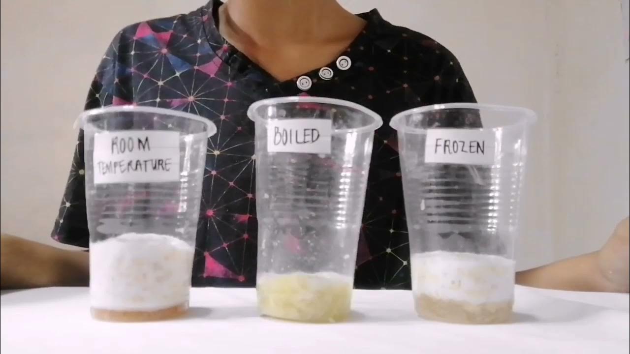 EXPERIMENT | THE ENZYME CATALASE (POTATO AND HYDROGEN PEROXIDE) - YouTube
