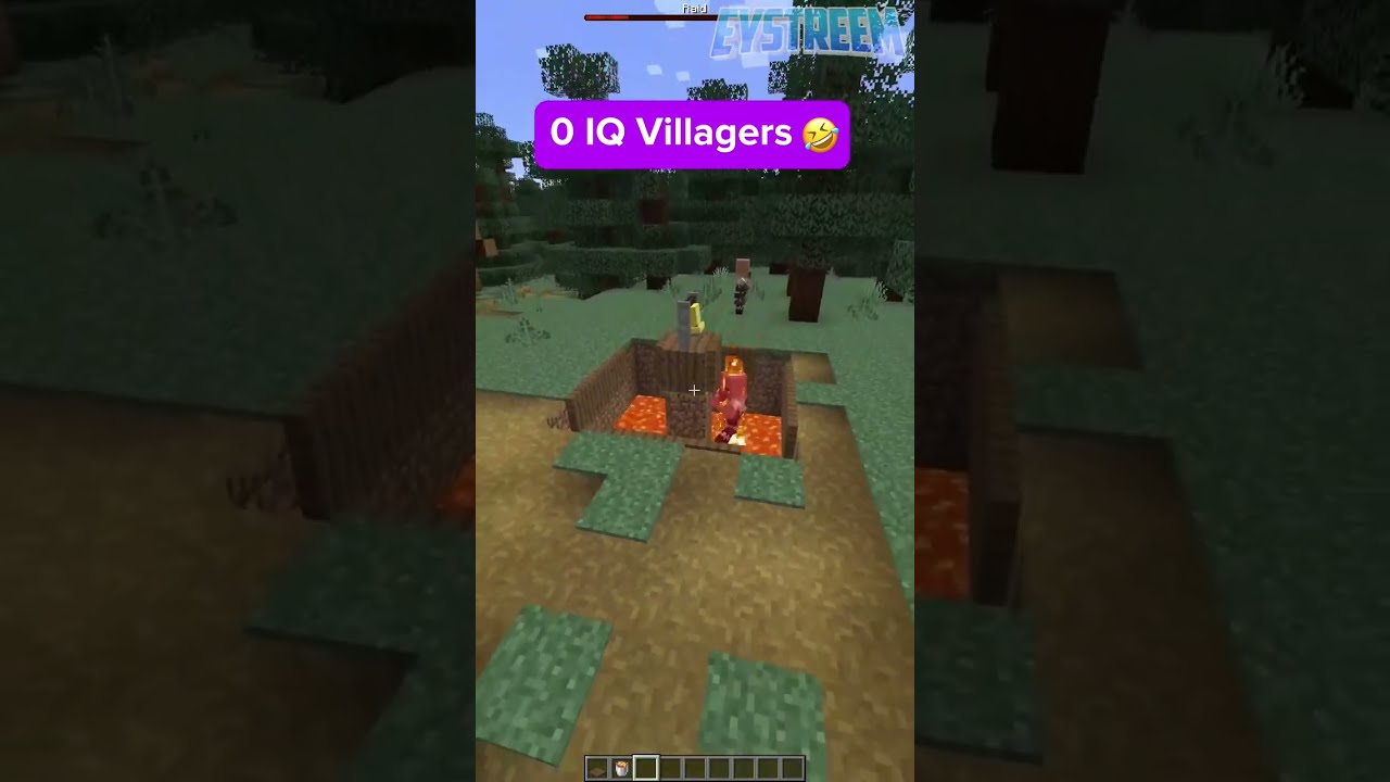 Trolling Minecraft Villagers - YouTube