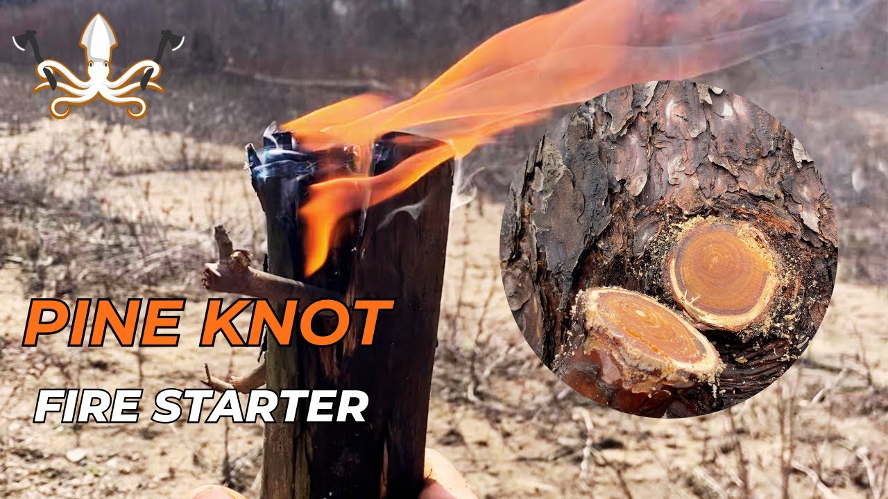 Pine Knot For Wet Weather Fire Making - YouTube