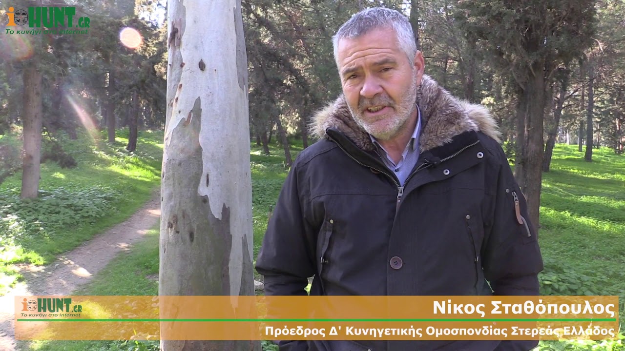 Ν. ΣΤΑΘΟΠΟΥΛΟΣ : Όχι στην εξολόθρευση του πληθυσμού στου αγριόχοιρου ...