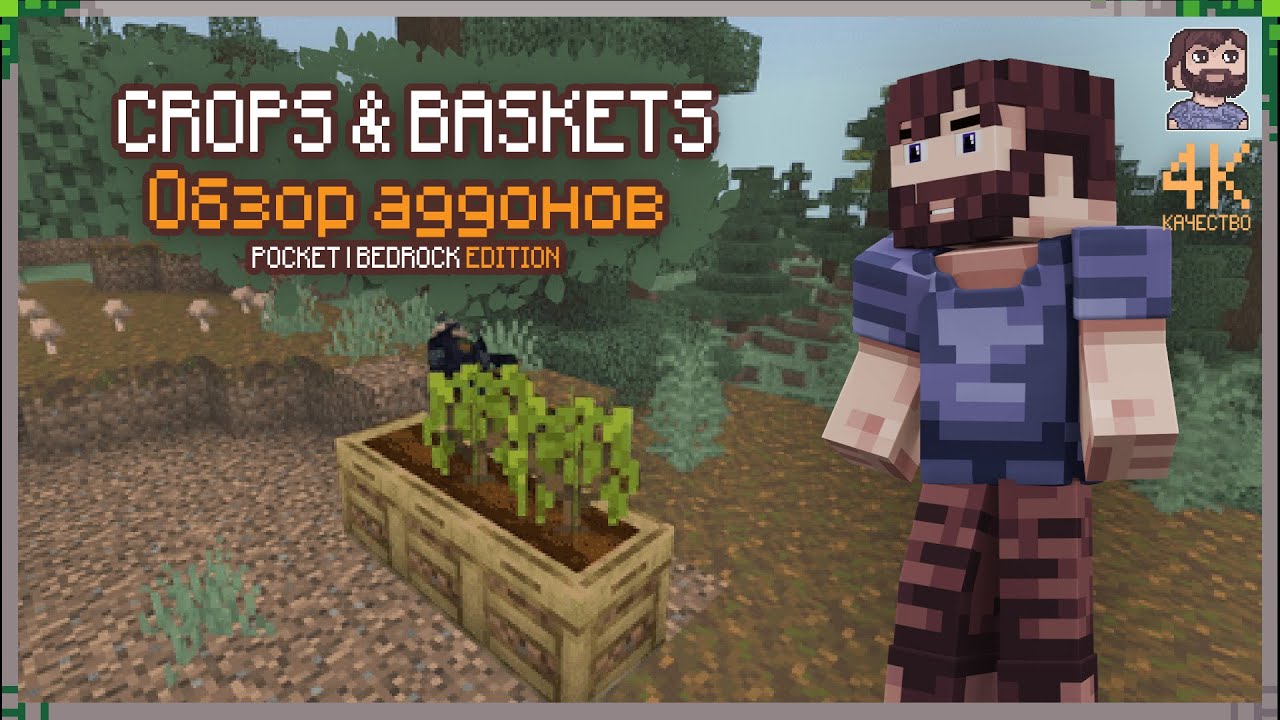 Обзор аддона: Crops & Baskets | Я теперь огородник! 🎮 Minecraft PE / Bedrock 1.20+ - YouTube