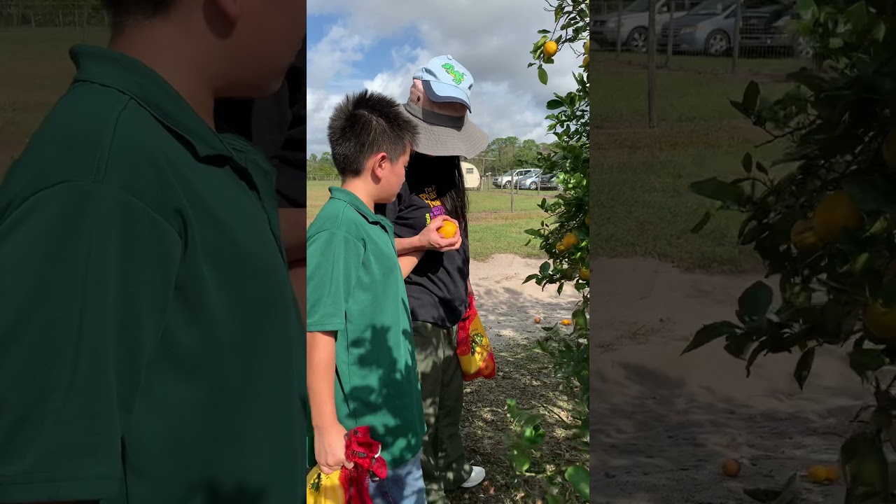 Uncle farm - YouTube