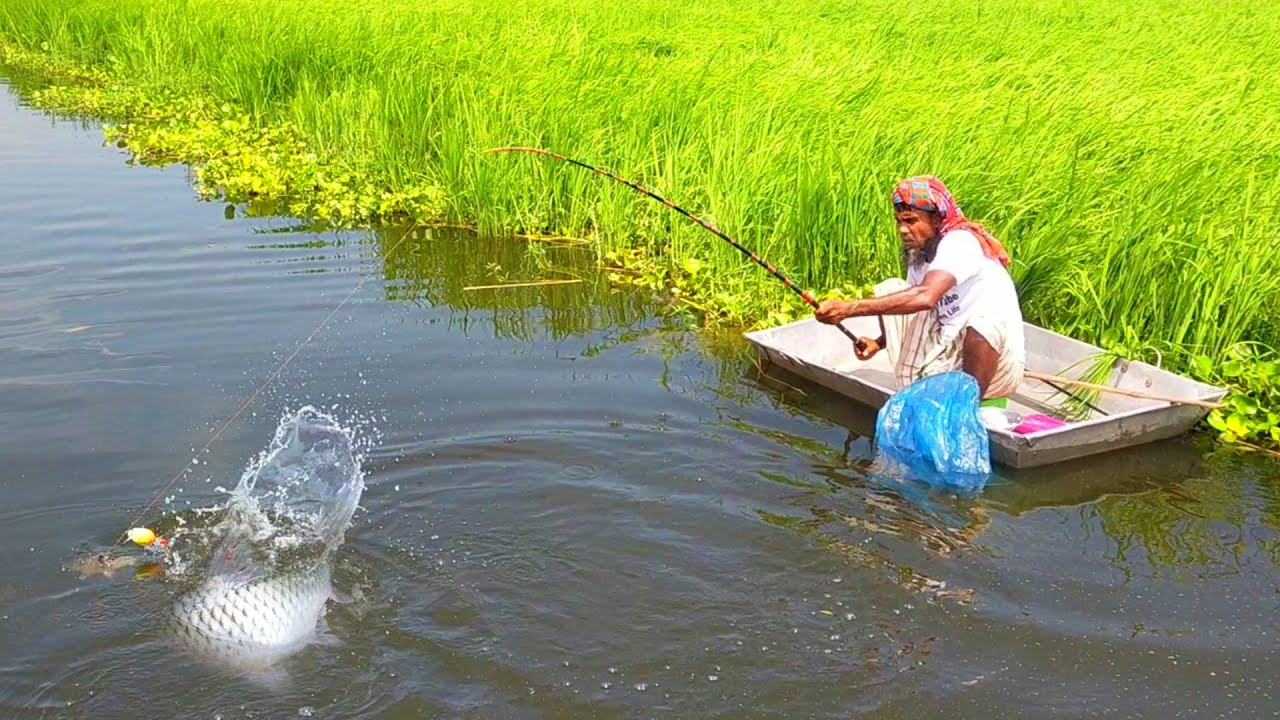 Amazing hook fishing video - Professional fish hunter catching fish by ...