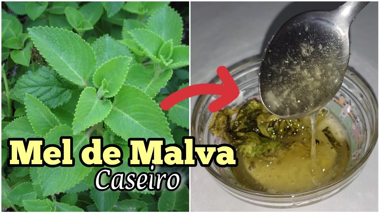Como fazer MEL DE MALVA CASEIRO e expectorante natural. - YouTube
