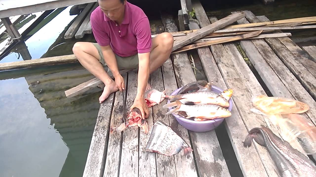Bakun Dam Homestay: Preparing Ikan Tapah for lunch! - YouTube