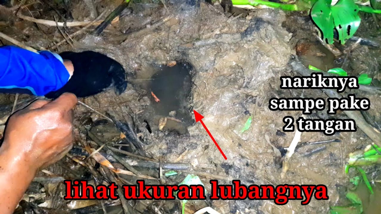 Sempat ragu‼️Mancing belut di spot sisa orang,malah di kejutkan ...