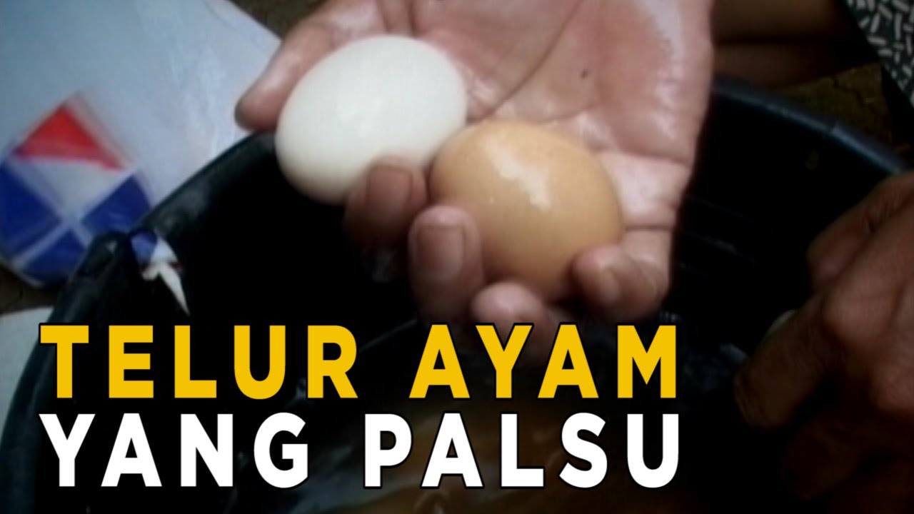 Telur ayam kampung palsu yang beredar di pasaran | JELANG SIANG - YouTube
