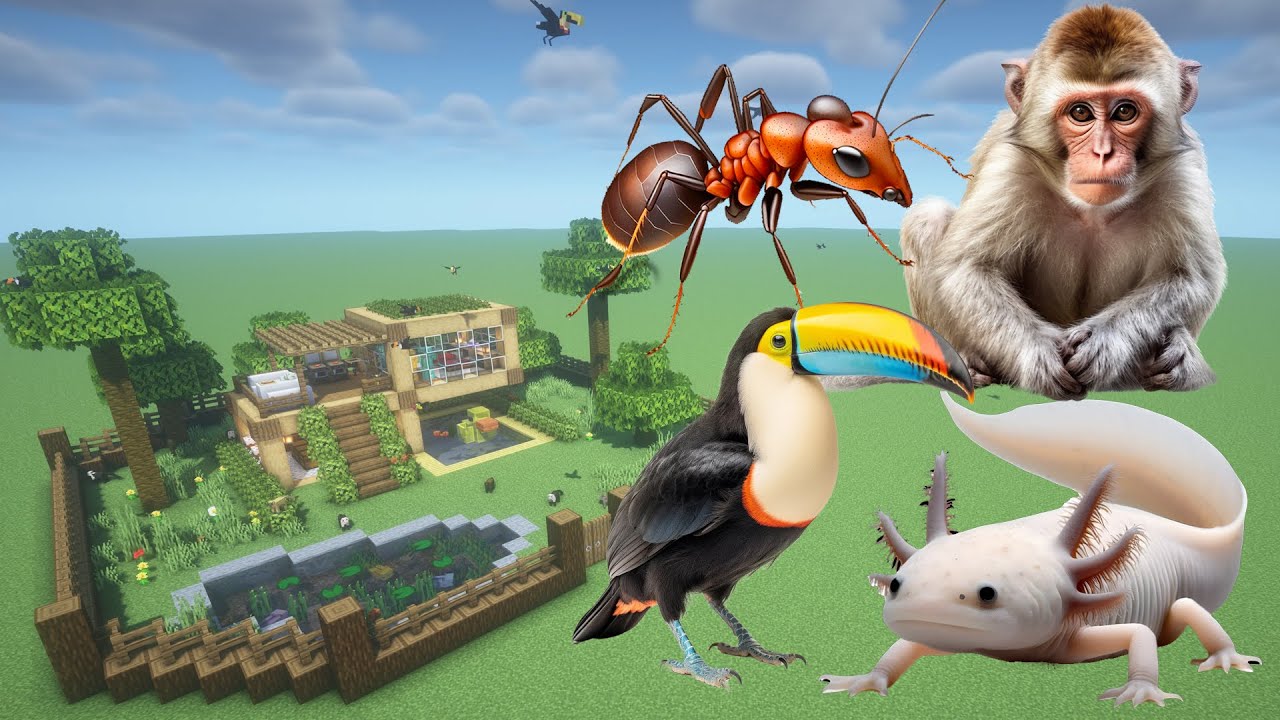 How To Make an Ant, Axolotl, Monkey, and Toucan Farm in Minecraft PE ...
