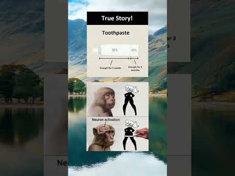 MEME : Neuron activation 😂 #memes #funnymemes #funny #funnyimages #funnypictures #memespic #shorts
