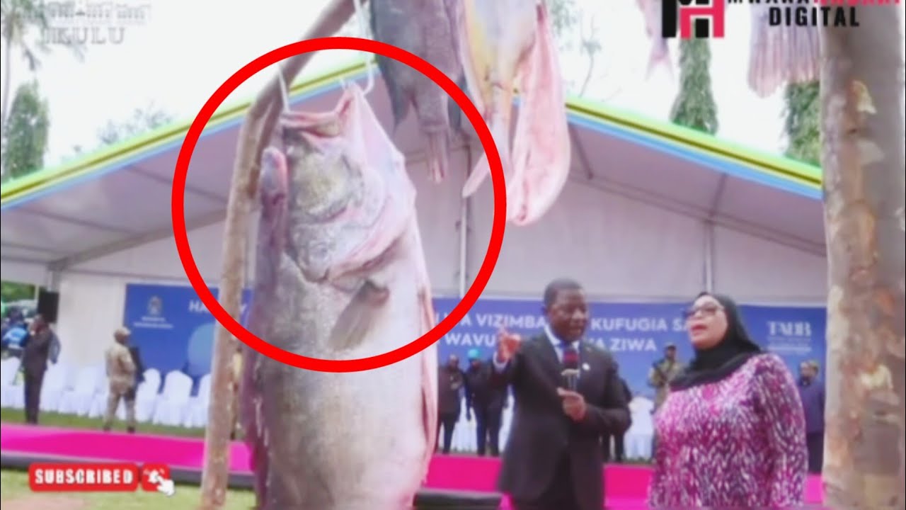 SAMAKI MKUBWA AINA YA SANGARA KUWAHI KUTOKEA ATAMBULISHWA NA WAZIRI ...