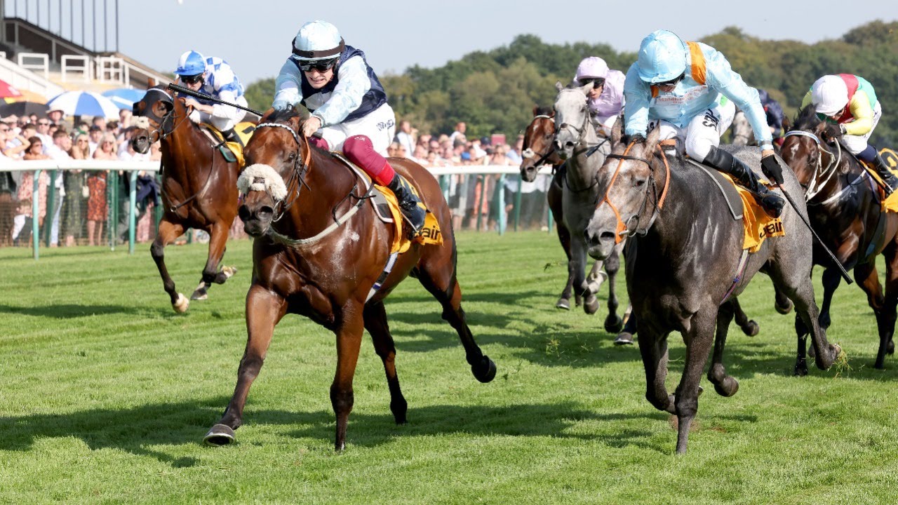 Regional reigns in Haydock's Sprint Cup as Shaquille flops - YouTube
