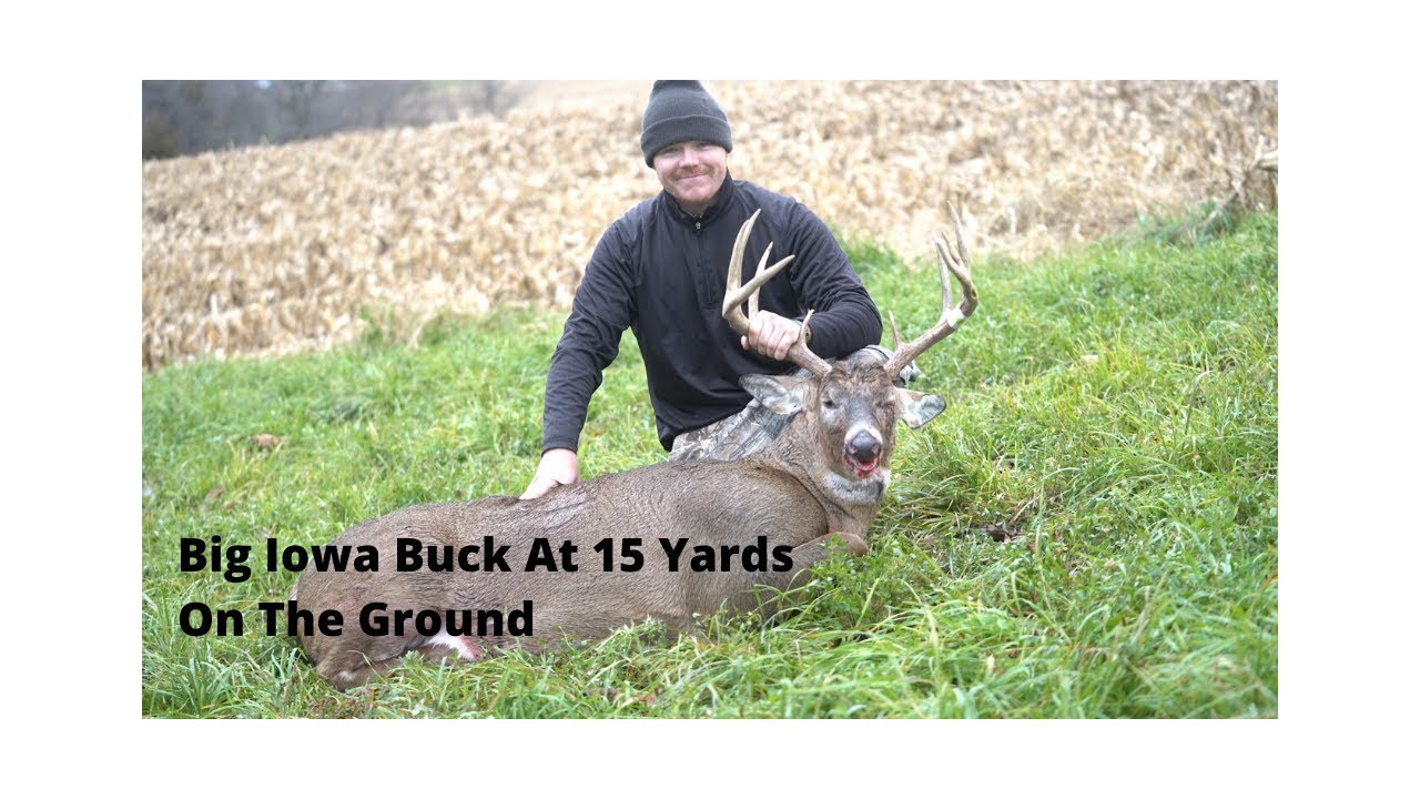 Episode 7: Big Iowa Buck At 15 yards - YouTube