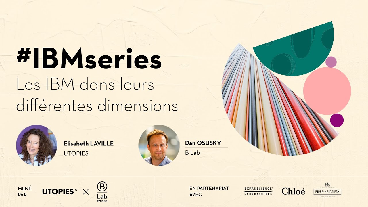 #IBM | Les IBM dans leurs différentes dimensions - YouTube