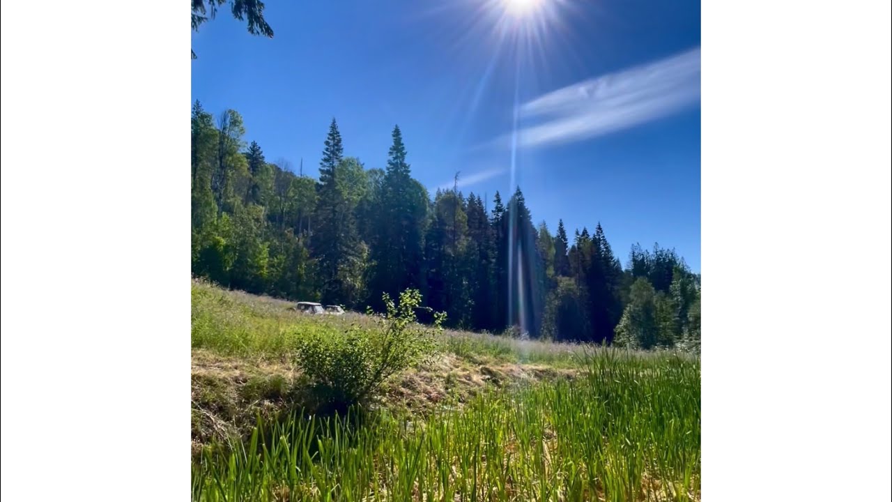 The Paddock and Our Pond - YouTube