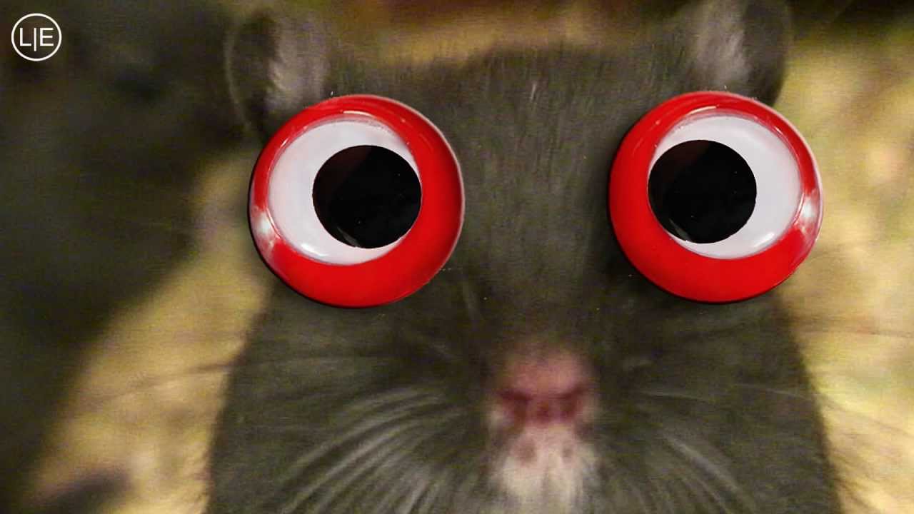 NEW! Dramatic Mouse LILI (2) big red eyes - Dramatic Look - TOP 10 KIDS ...