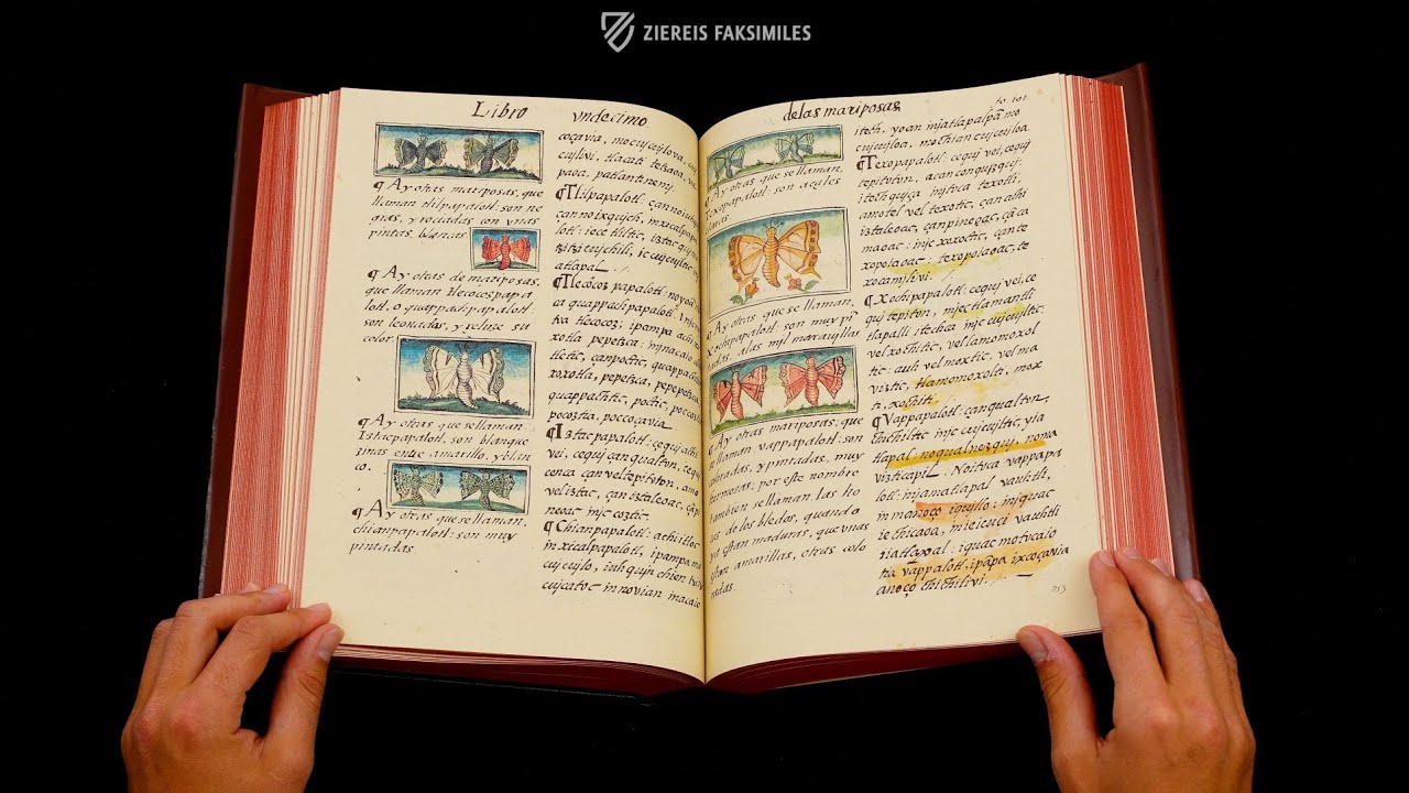 DER CODEX FLORENTINUS - Blättern im Faksimile (4k / UHD) - YouTube