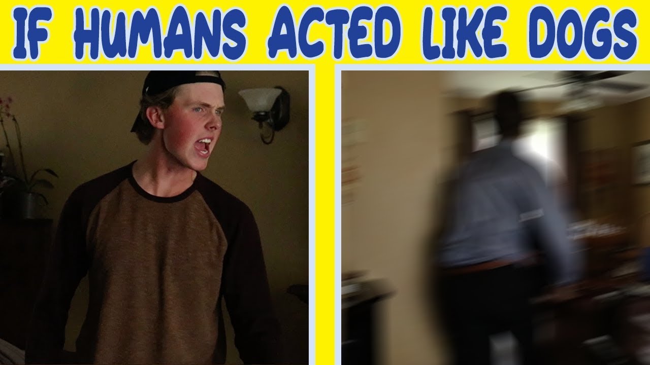 If Humans Acted Like Dogs - YouTube