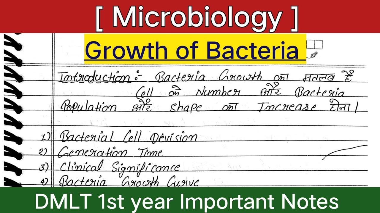Growth of Bacteria || Bacteria Growth Curve || Microbiology - YouTube