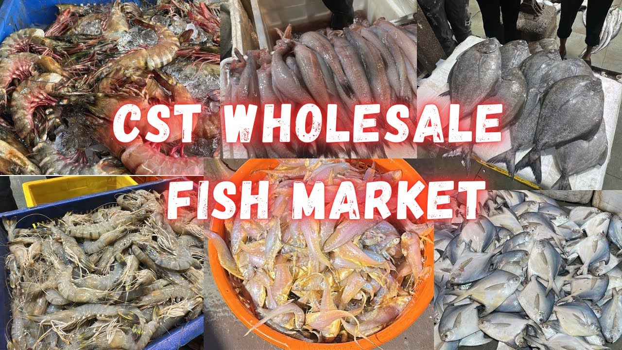 Mumbai CST Fish Market | मुंबईमधील सर्वात स्वस्त फिश मार्केट | Cheapest ...