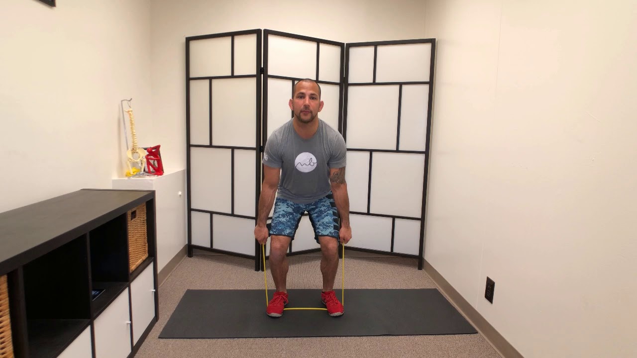 Best Exercises for Low Back Pain - Hip Hinge, Squat, Deadlift - YouTube