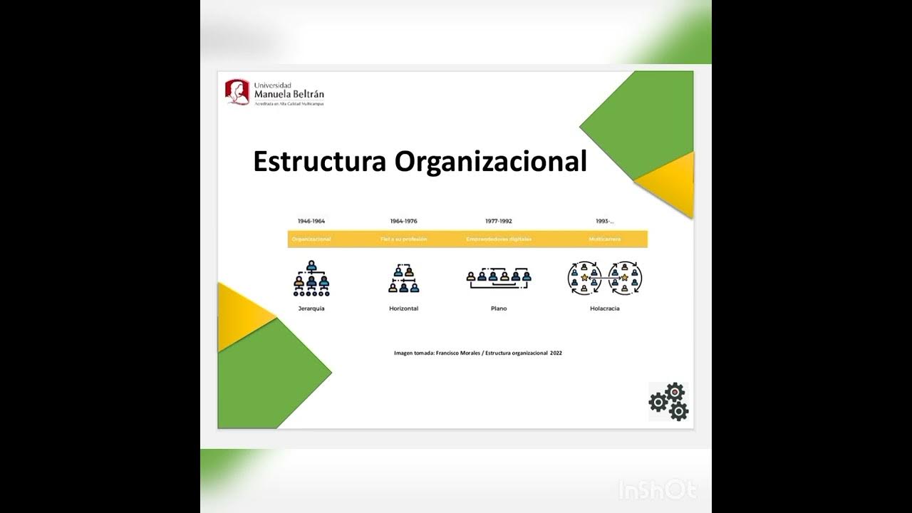 Estructura, Funciones y procesos Organizacional - YouTube