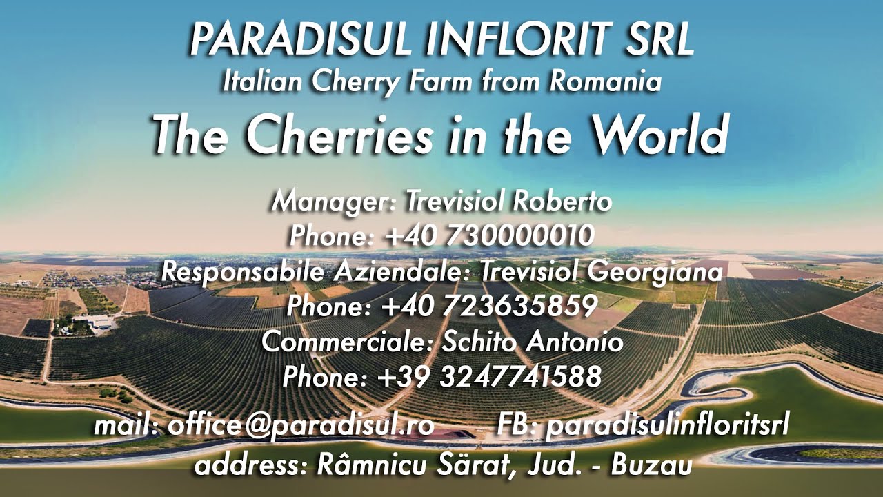 Paradisul Inflorit 2023: L' evoluzione - YouTube