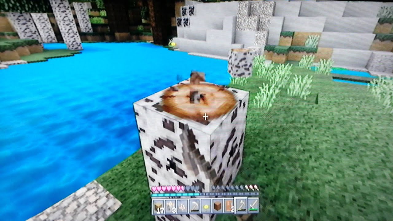 Minecraft safari #3 - YouTube