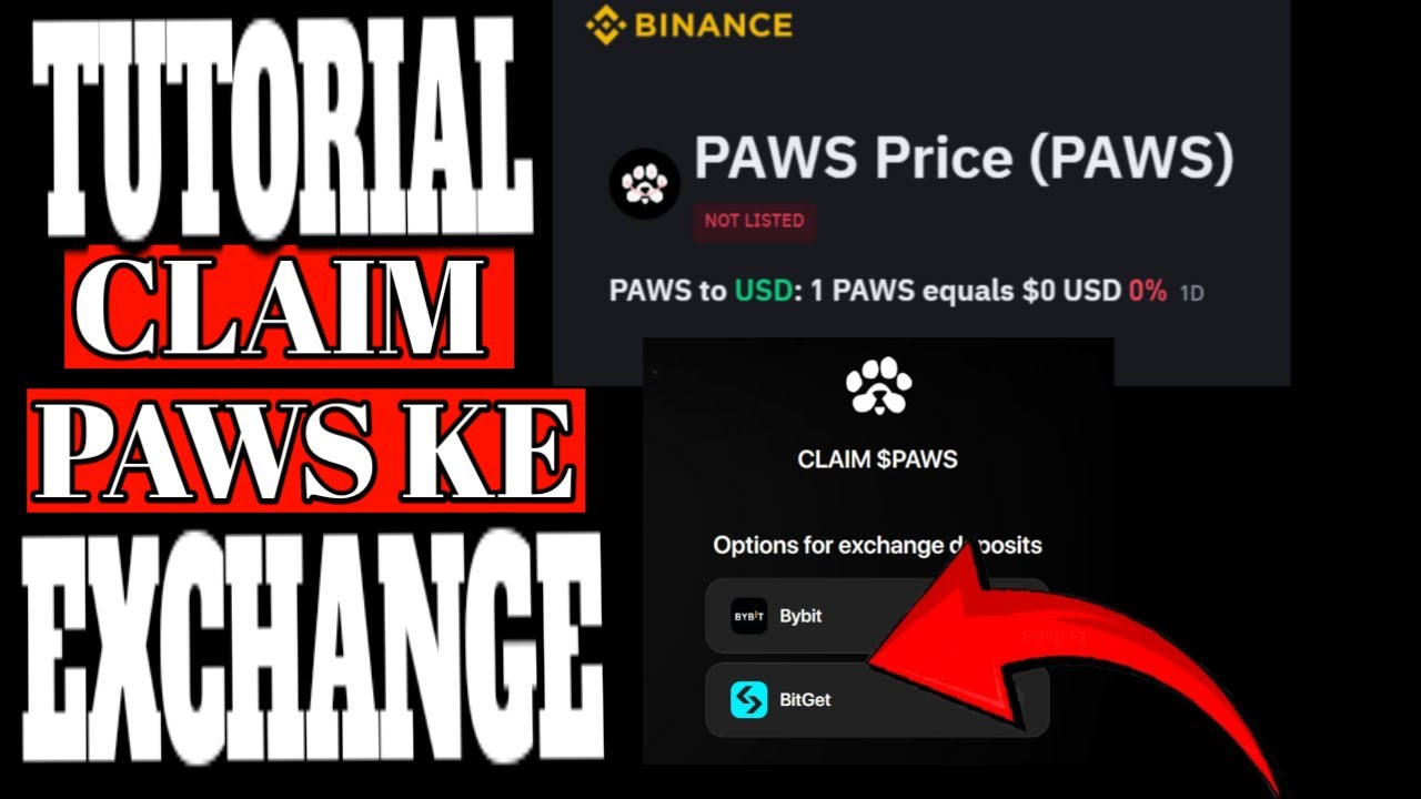 TUTORIAL LENGKAP WITHDRAW $PAWS KE EXCHANGE"AWAS JANGAN SAMPAI SALAH - YouTube