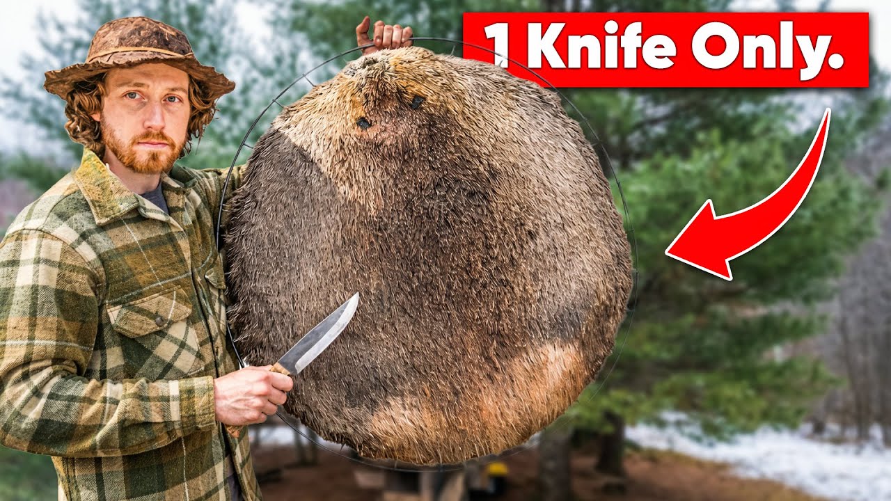 Best beaver hide fleshing method WITH ONLY A KNIFE - YouTube