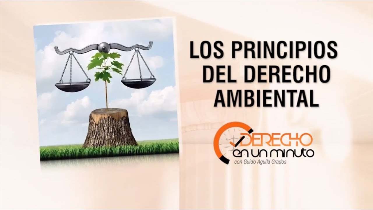 Los Principios del Derecho Ambiental - DE1M # 179 - YouTube