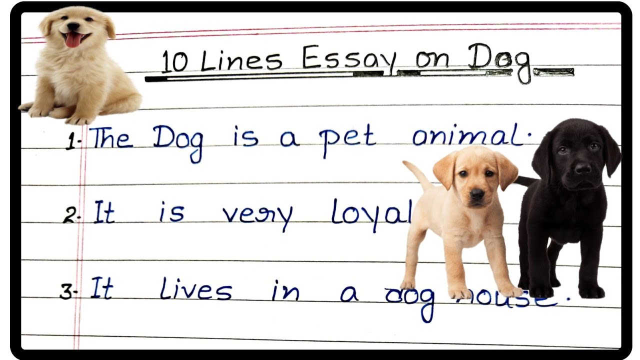 Essay on Dog / 10 Lines Essay on Dog 🐕 - YouTube