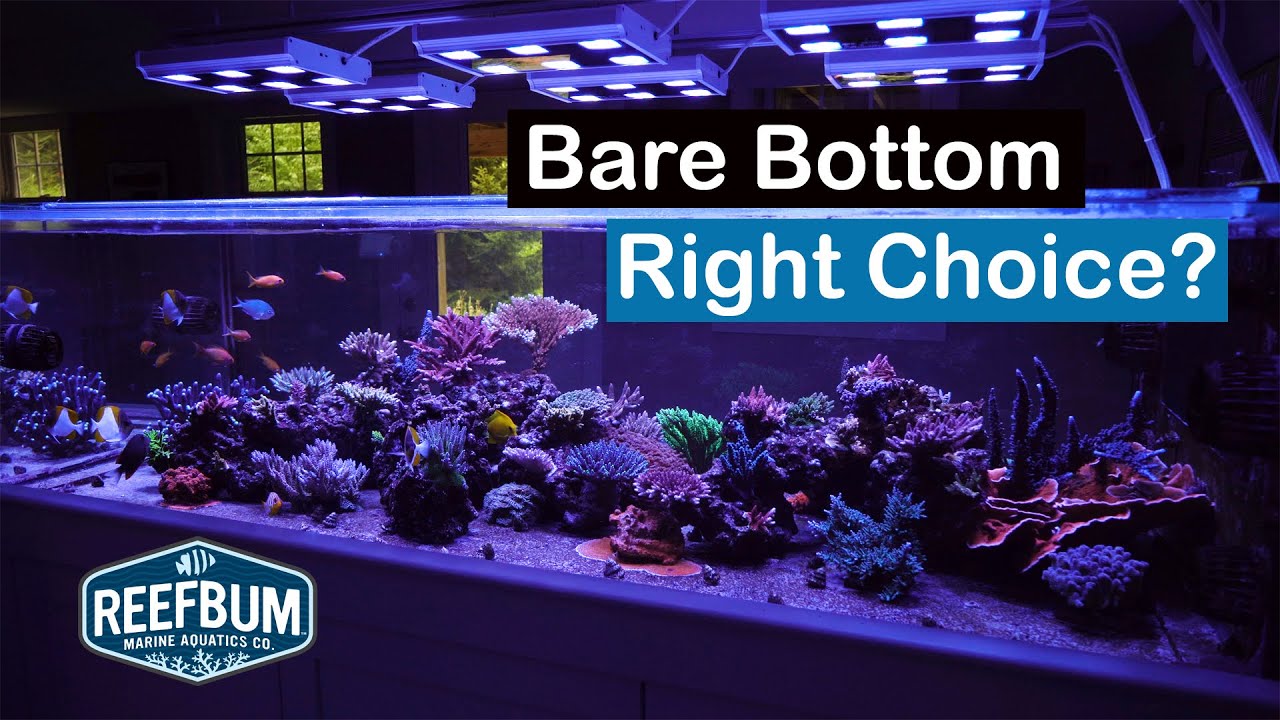 Going Bare Bottom - Was it the Right Choice? - YouTube