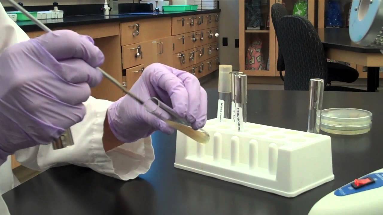 Aseptic Transfer - YouTube