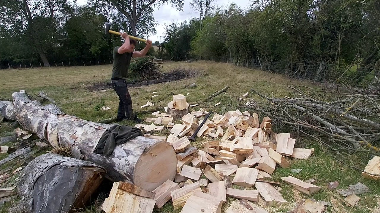 THE SYCAMORE GRIND: MORE SPLITTING - YouTube