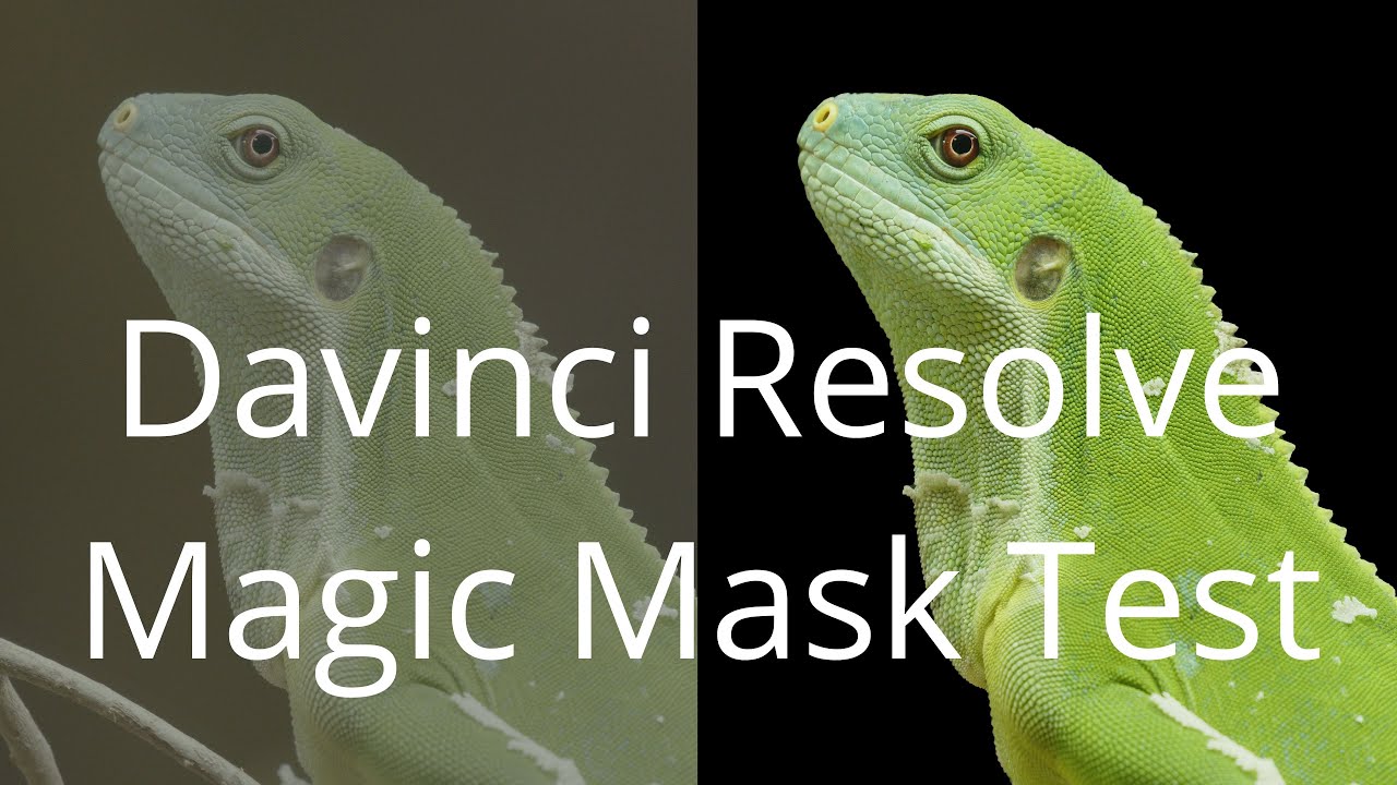 Davinci Resolve Magic Mask Test - BMPCC 6K G2 - YouTube